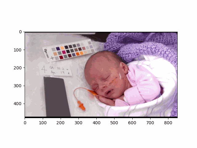 CS 180 Final Project - by Eshani Jha