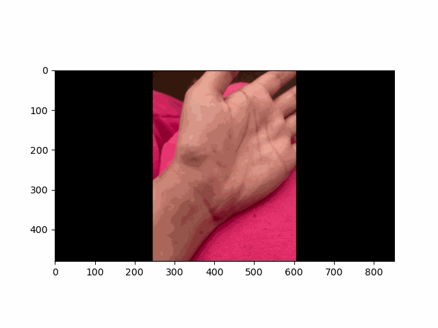 CS 180 Final Project - by Eshani Jha